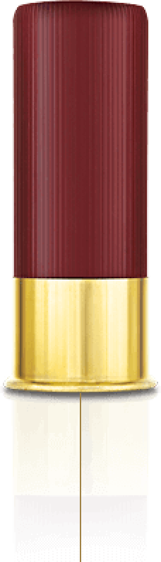 Aguila Ammo - Feed Your Firearm | Aguila Ammunition