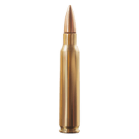 5.56 x 45mm NATO 55 GRAIN FMJ | Aguila Ammunition