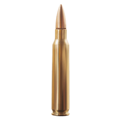 5.56 x 45mm NATO 55 GRAIN FMJ | Aguila Ammunition