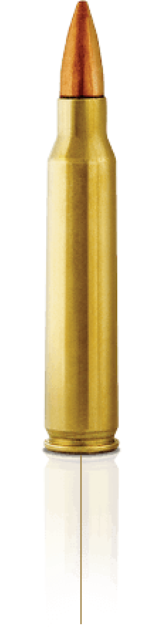 Aguila Ammo - Feed Your Firearm | Aguila Ammunition